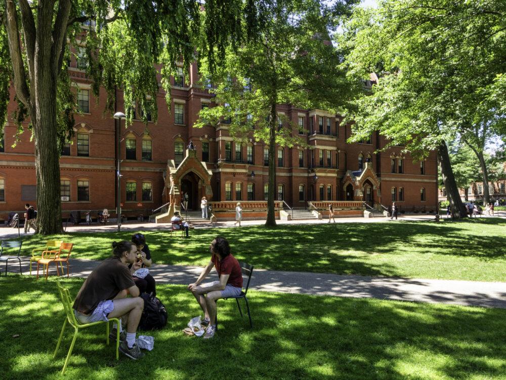 What is “Academic Flourishing”? | LearningWell Magazine