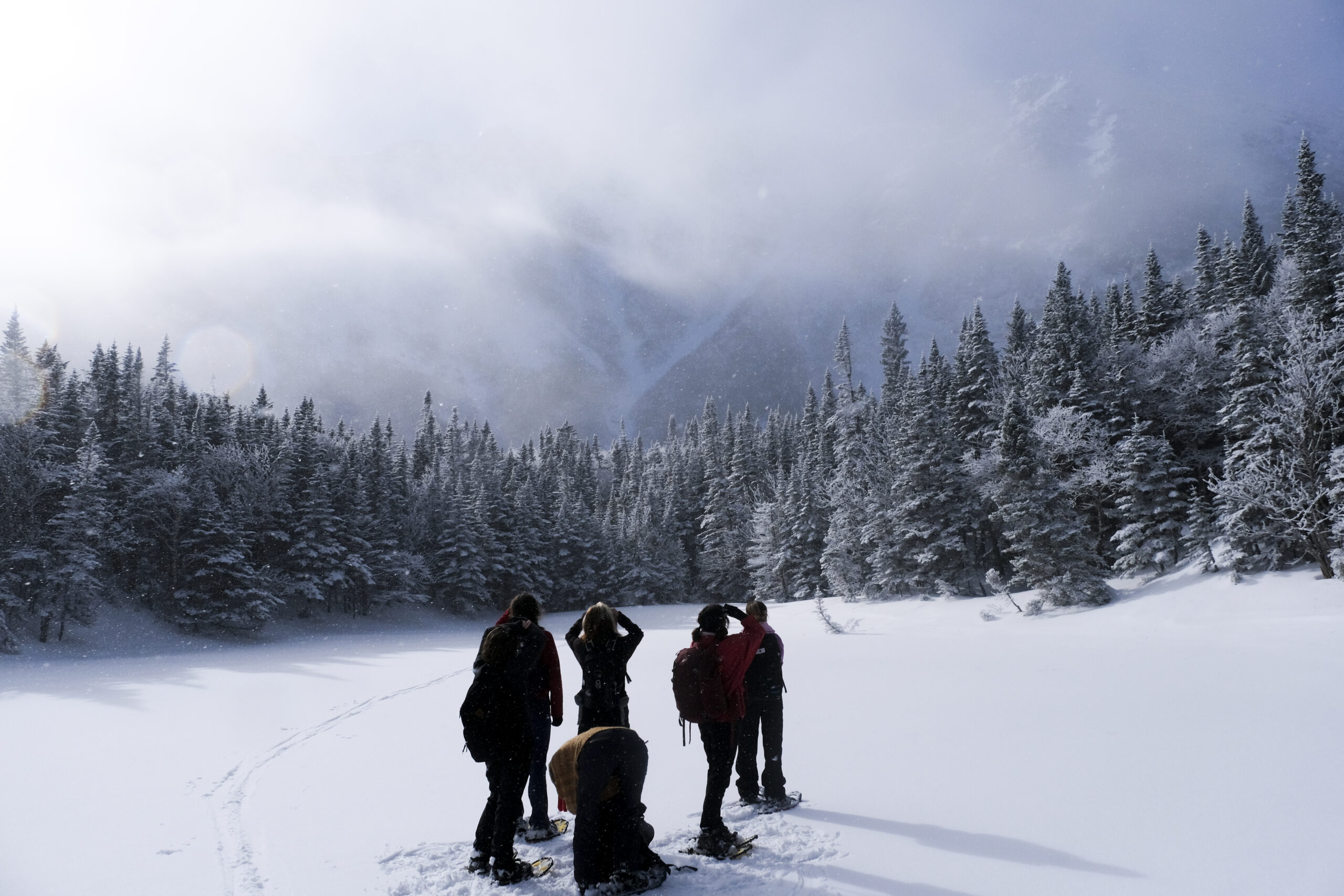 A Collective Endeavor | LearningWell Magazine